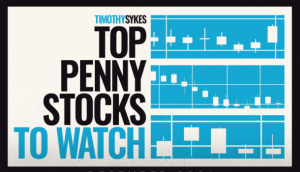 Tim Sykes Trading Program Review 2025 - Penny Stocks Trading Tips